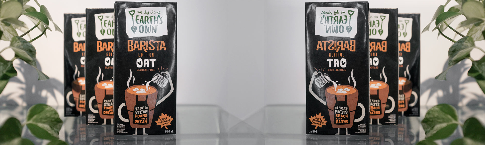 Alternative M*lks – Eight Ounce Coffee Wholesale